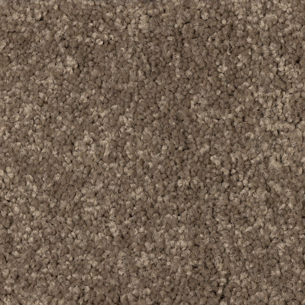 Starlight – Bremworth Wool Carpets New Zealand