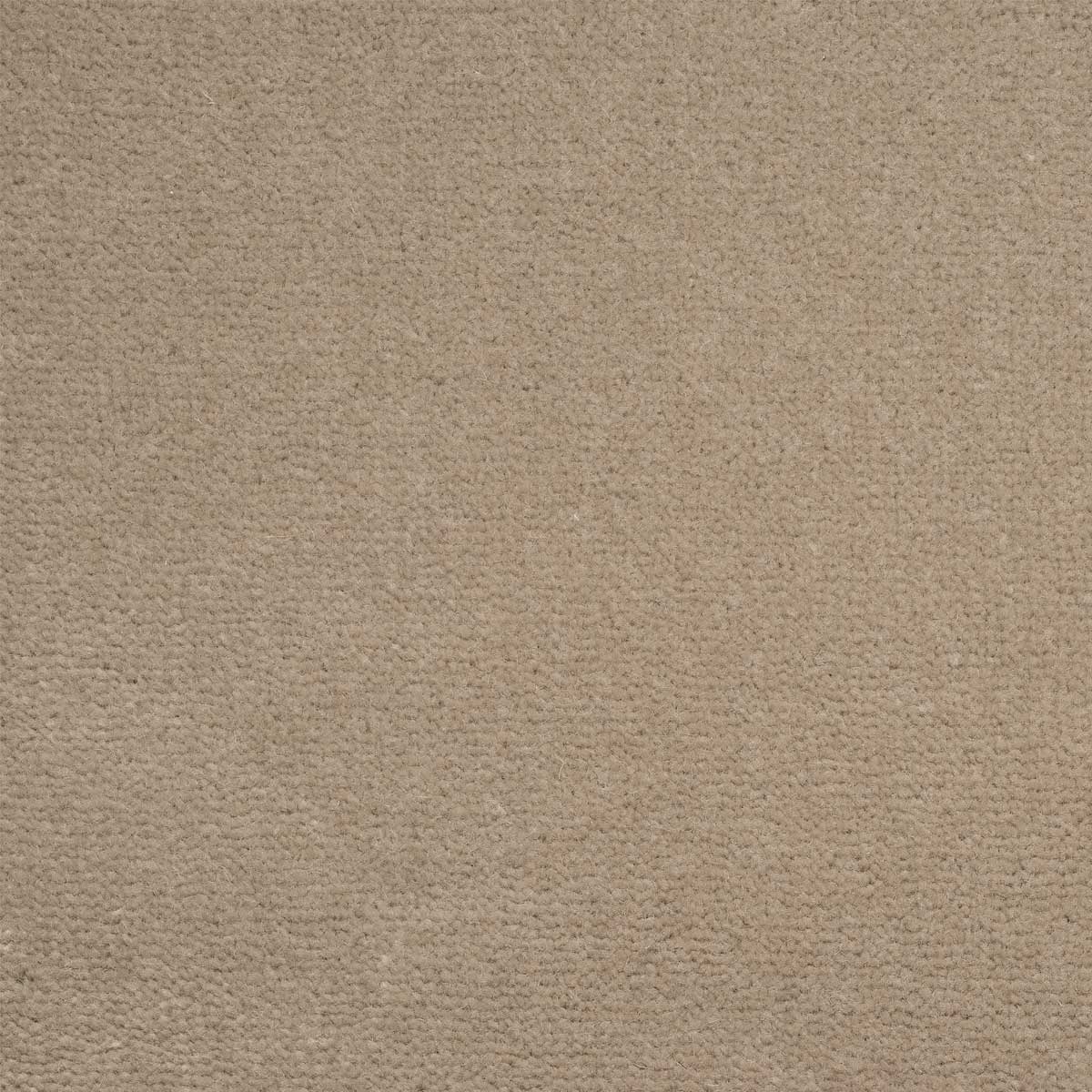 Ahuru Wool Carpet | Plush & Luxurious - Bremworth Wool Carpets NZ ...