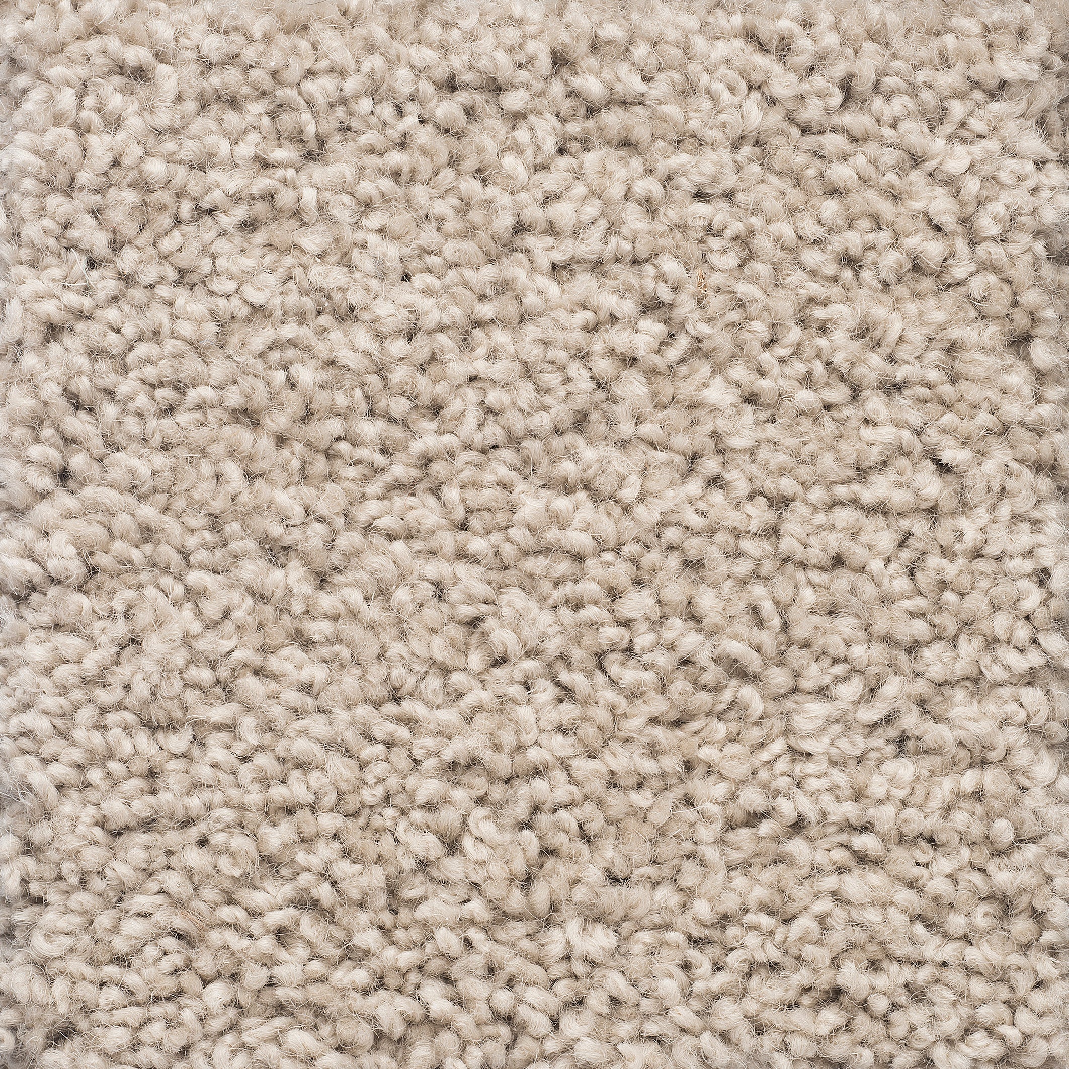 Charmeuse Wool Carpet – Bremworth NZ – Bremworth Wool Carpets New Zealand