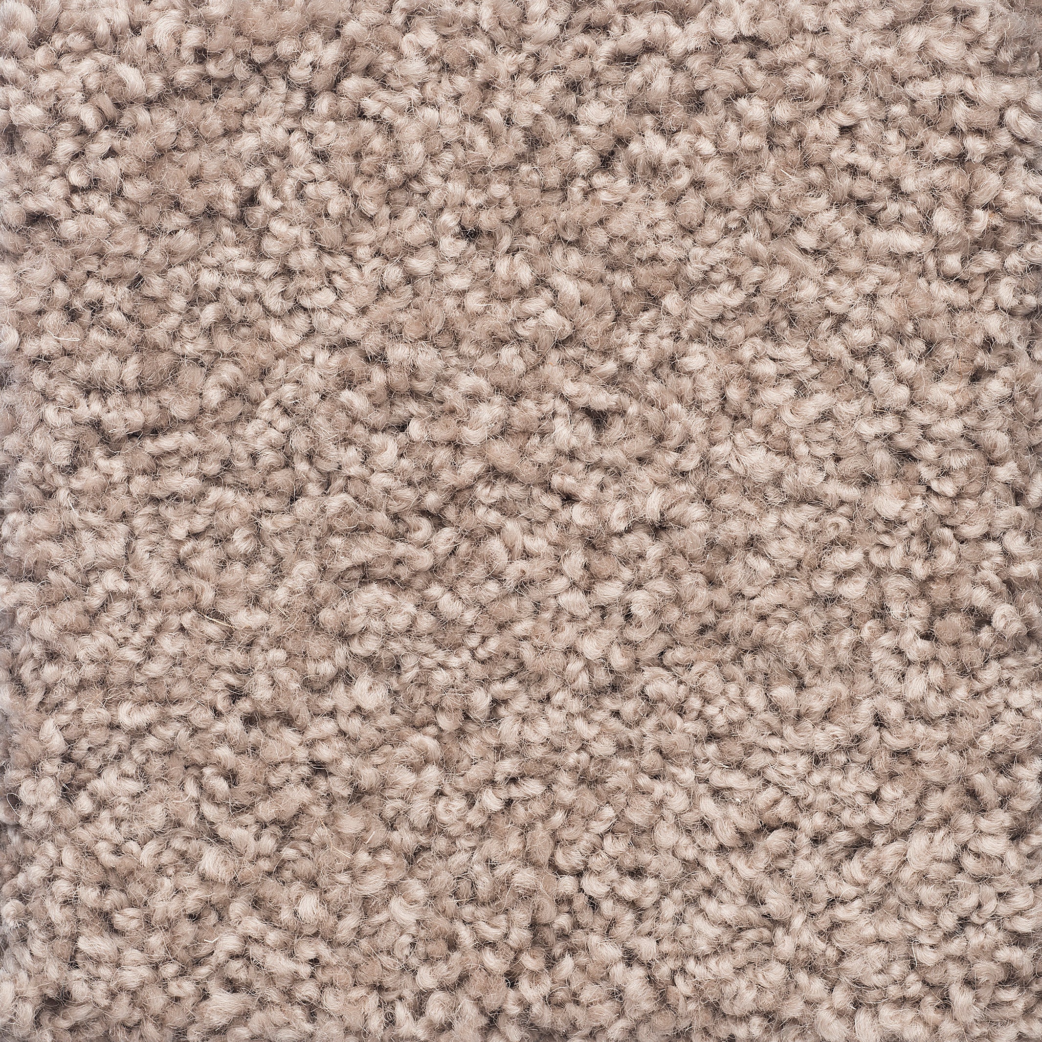 Charmeuse Wool Carpet – Bremworth NZ – Bremworth Wool Carpets New Zealand
