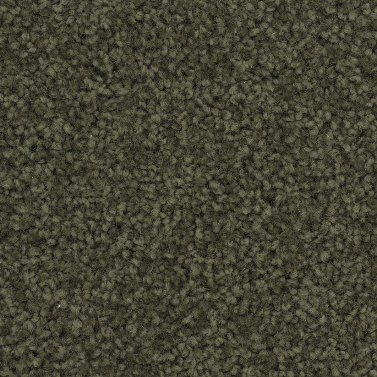 Charmeuse Wool Carpet – Bremworth NZ – Bremworth Wool Carpets New Zealand