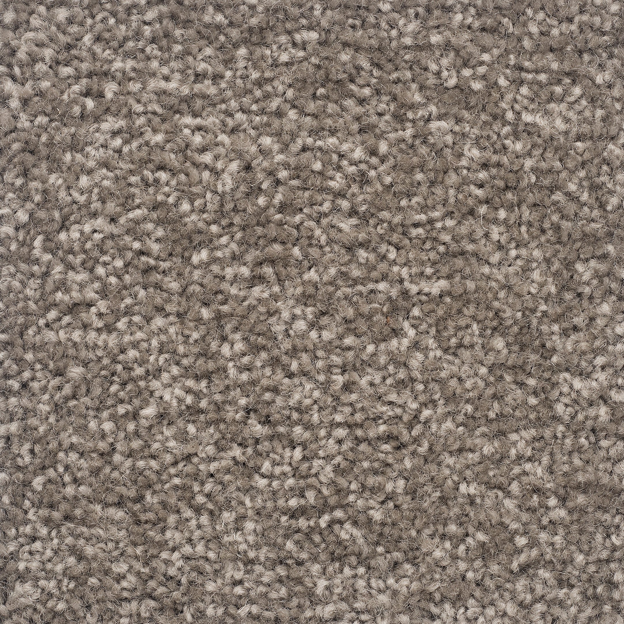 The Hamptons Wool Carpet - Cut Pile Carpet - Bremworth Wool Carpets New ...