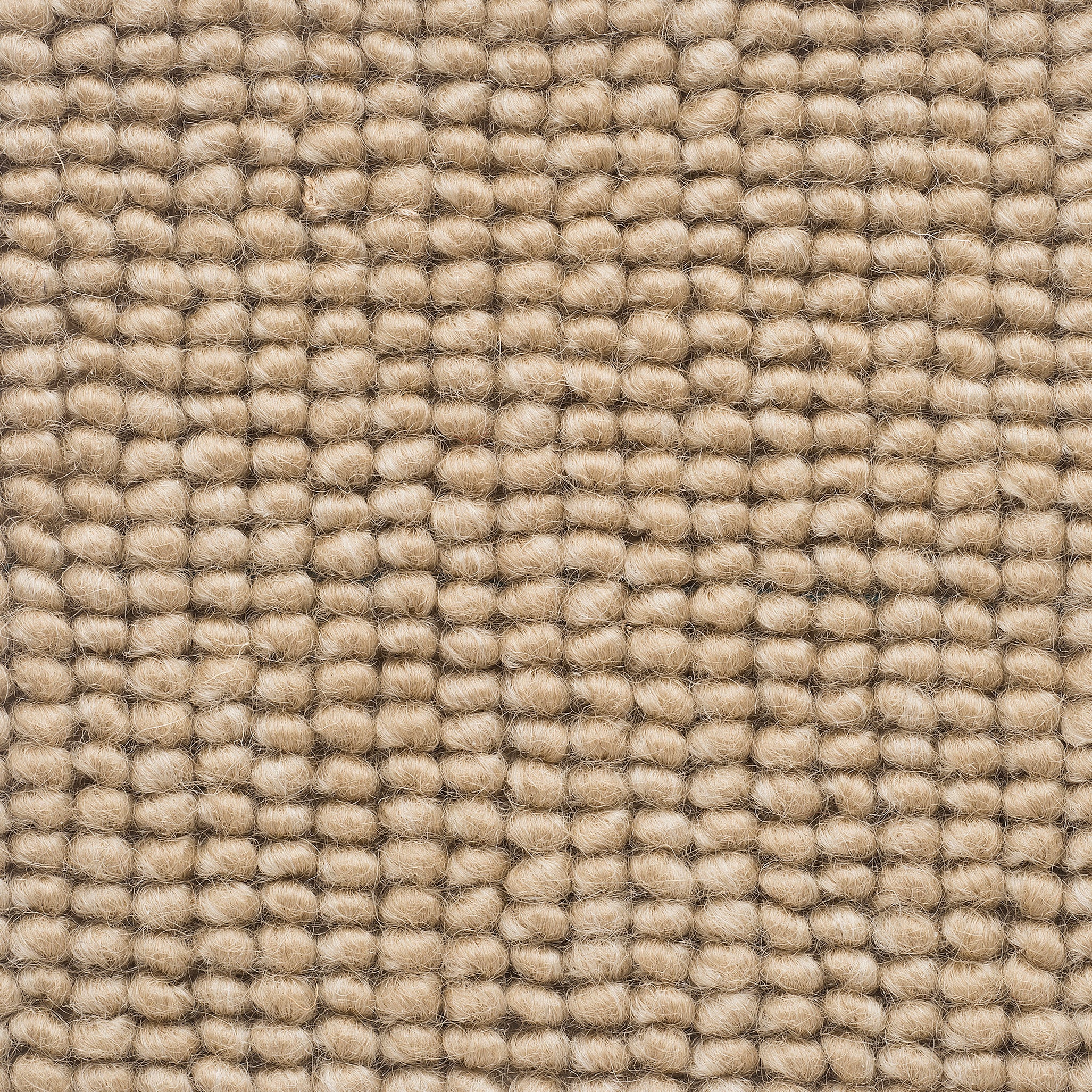 Tussore Wool Carpet - Loop Pile Carpet - Bremworth NZ – Bremworth Wool ...